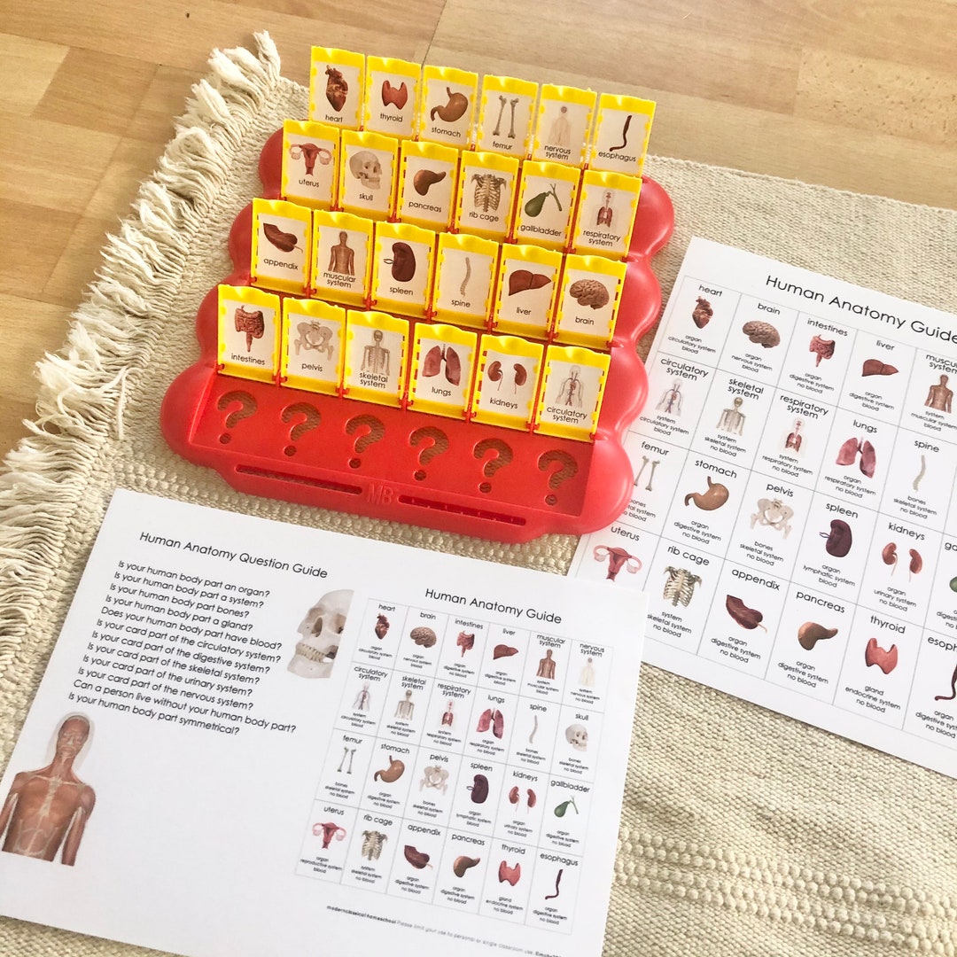 Anatomy Printable Guessing Game Insert Cards - Etsy