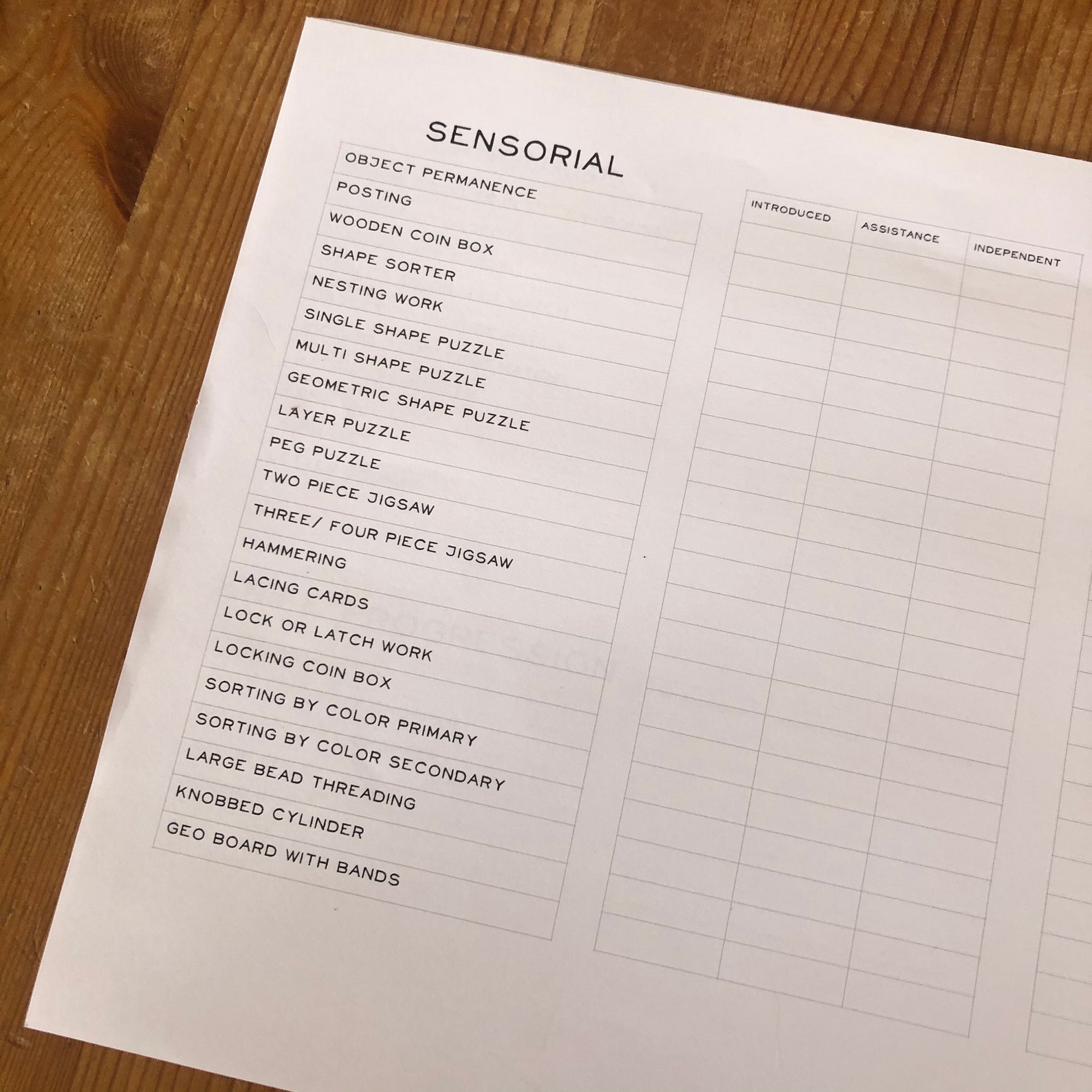 Montessori Birth to Three Years Observation Tracking Sheets | Etsy