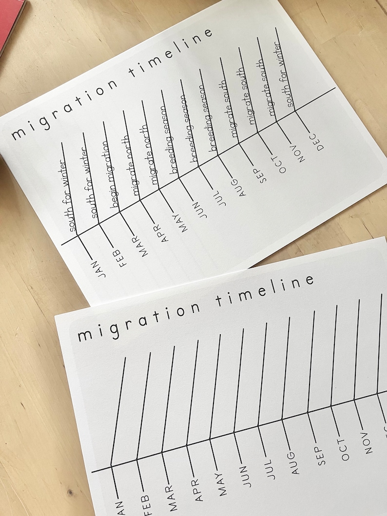 LUCK Book Study and Sandhill Migration Study - Etsy
