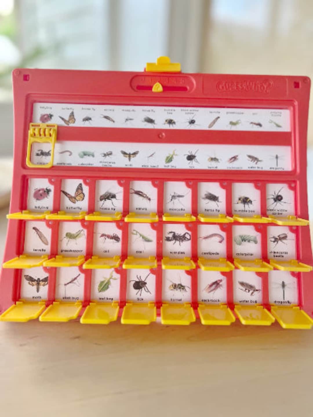 Bugs & Insects Guessing Game Printable Insert Card - Etsy