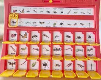 Bugs/ Insects Printable Guessing Game Insert Card Set - Etsy