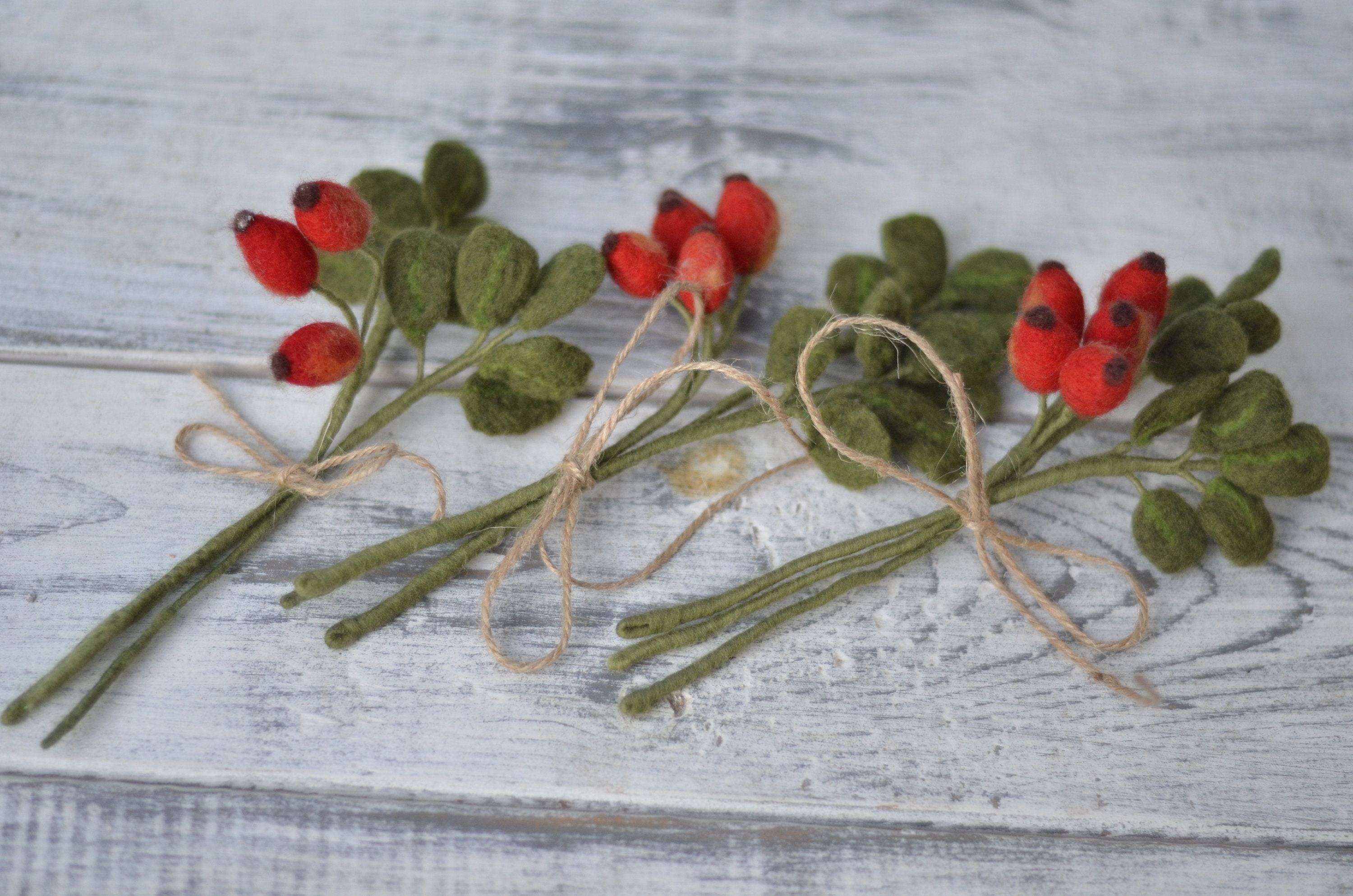 Handmade Felt Rosehip Twig: Rustic Farmhouse Decor - Etsy