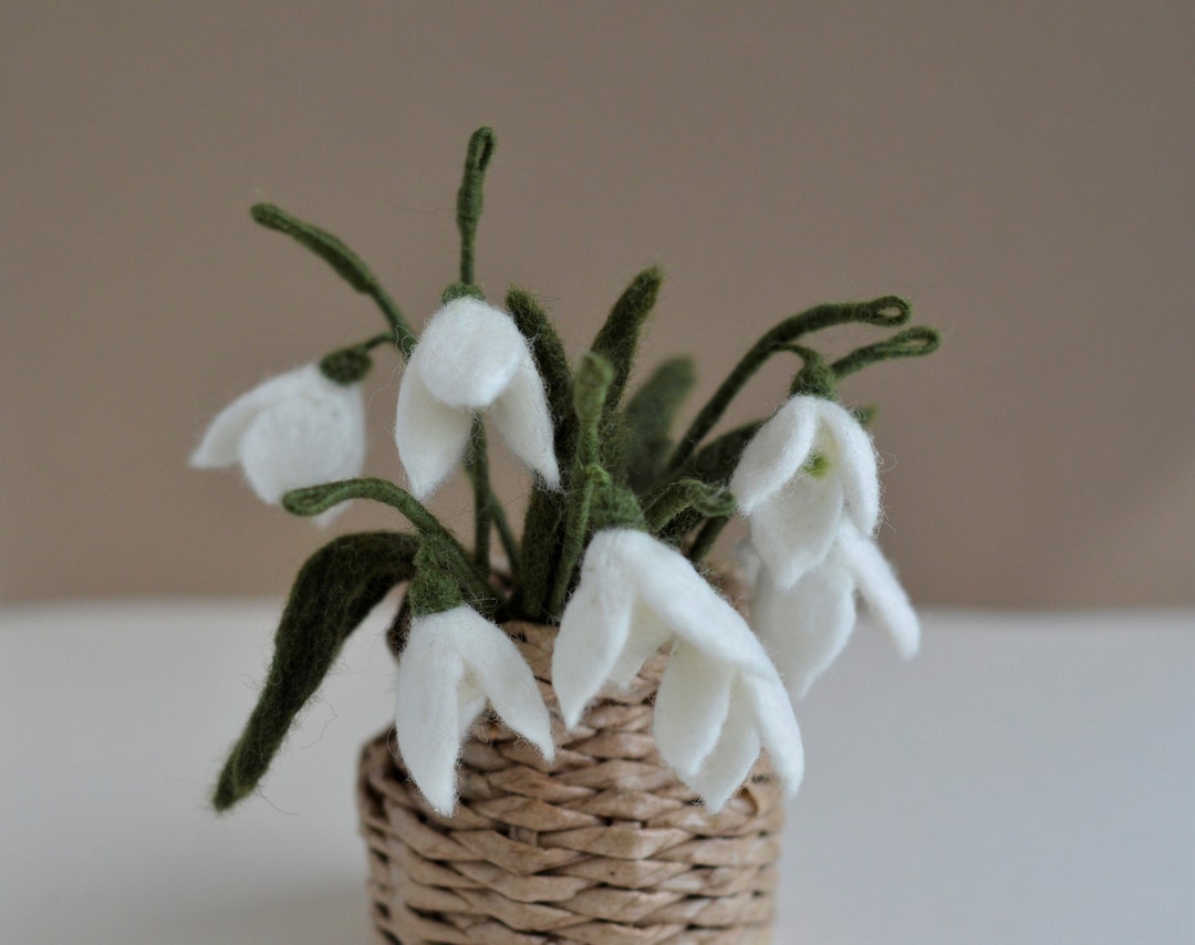 Handmade Snowdrop Arrangement in Paper Vase With Seven Snowdrop Stems ...