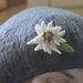 Small Felt Edelweiss Brooch Flowers, Decorative Leontopodium Alpinum ...
