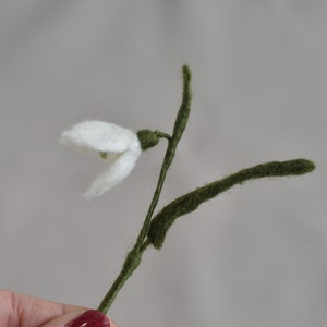 Handmade Snowdrop Arrangement in Paper Vase With Seven Snowdrop Stems ...
