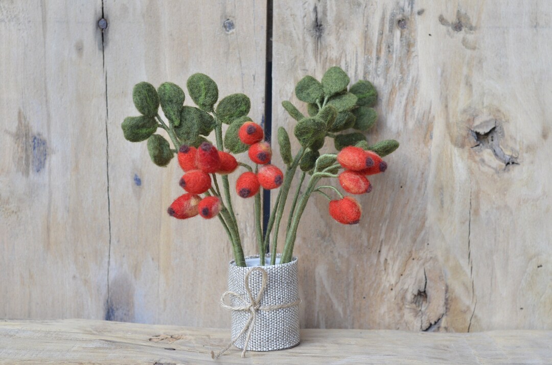 Handmade Felt Rosehip Twig: Rustic Farmhouse Decor - Etsy