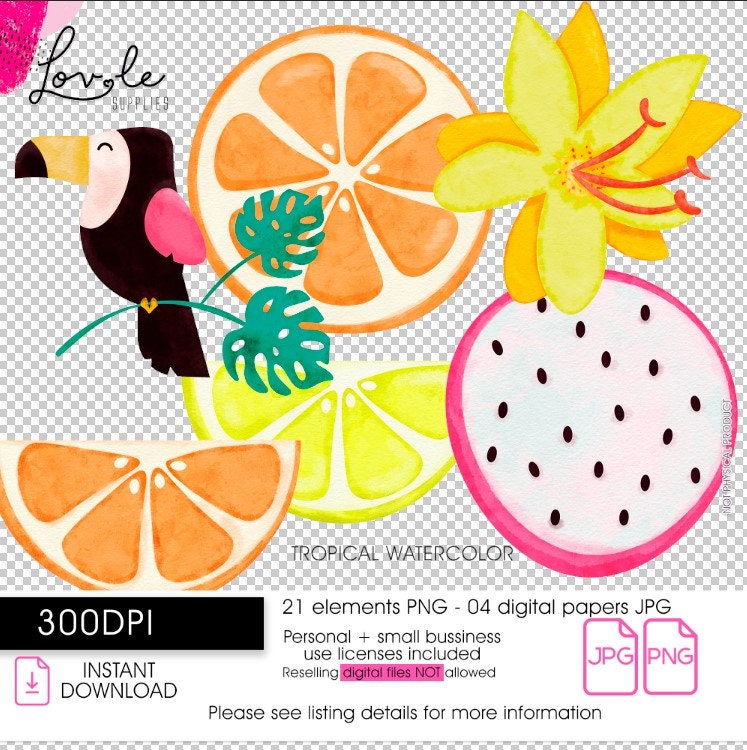 Watercolor Tropical Clip Art Watercolor Summer Clipart Set - Etsy