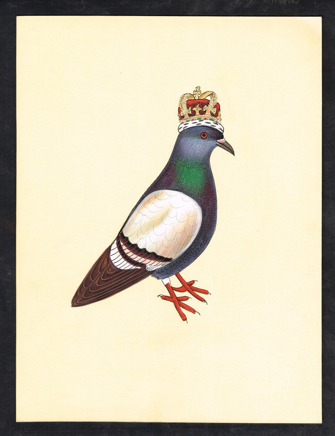 Indian Miniature Birds Painting of Pigeon With Turban | Message ...