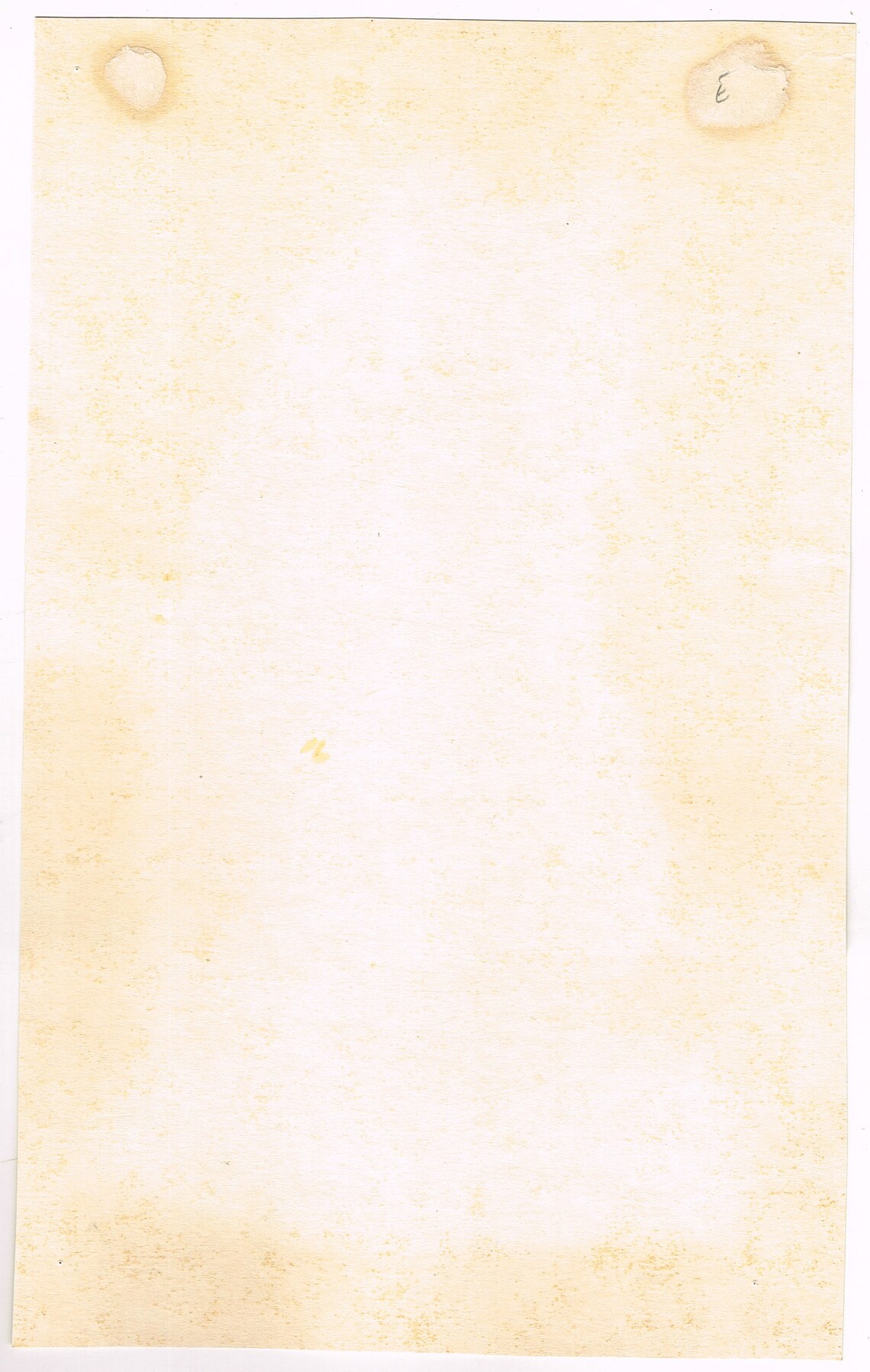 Cat Painting Hand Miniature Fine Animal Art on Paper 6.5x10.5 - Etsy