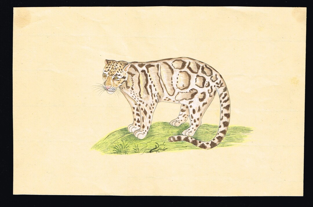 Animal Painting of Cheetah Hand Miniature Wildlife Nature Art on Paper ...