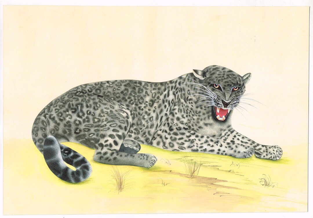 Handmade Cheetah Miniature Painting: Gouache Fine Art (13.5x9.5 Inches ...