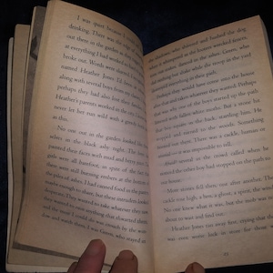 Green Angel by Alice Hoffman-ask to Bundle Books for Refund on Shipping ...