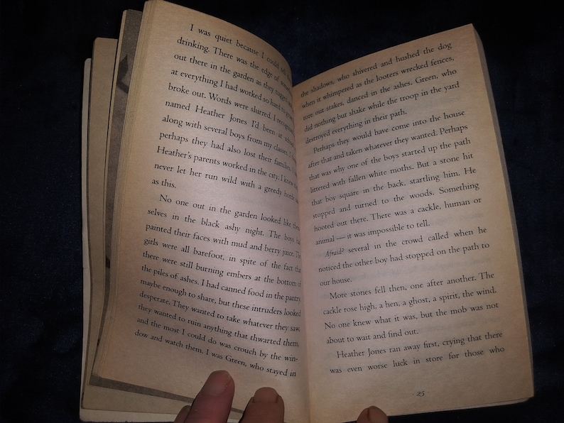 Green Angel by Alice Hoffman-ask to Bundle Books for Refund on - Etsy