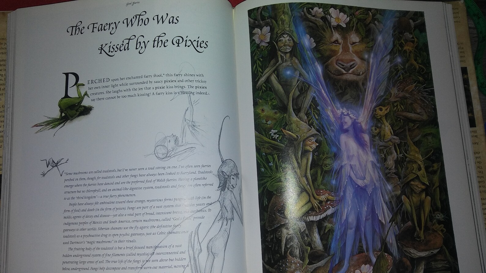 Brian Froud's-good Faeries Bad Faeries Hard Cover Book-ask | Etsy