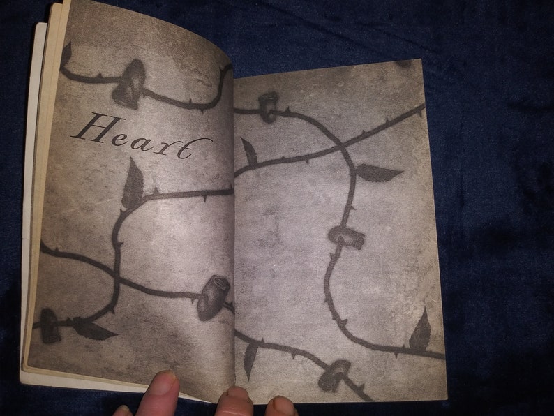 Green Angel by Alice Hoffman-ask to Bundle Books for Refund on - Etsy