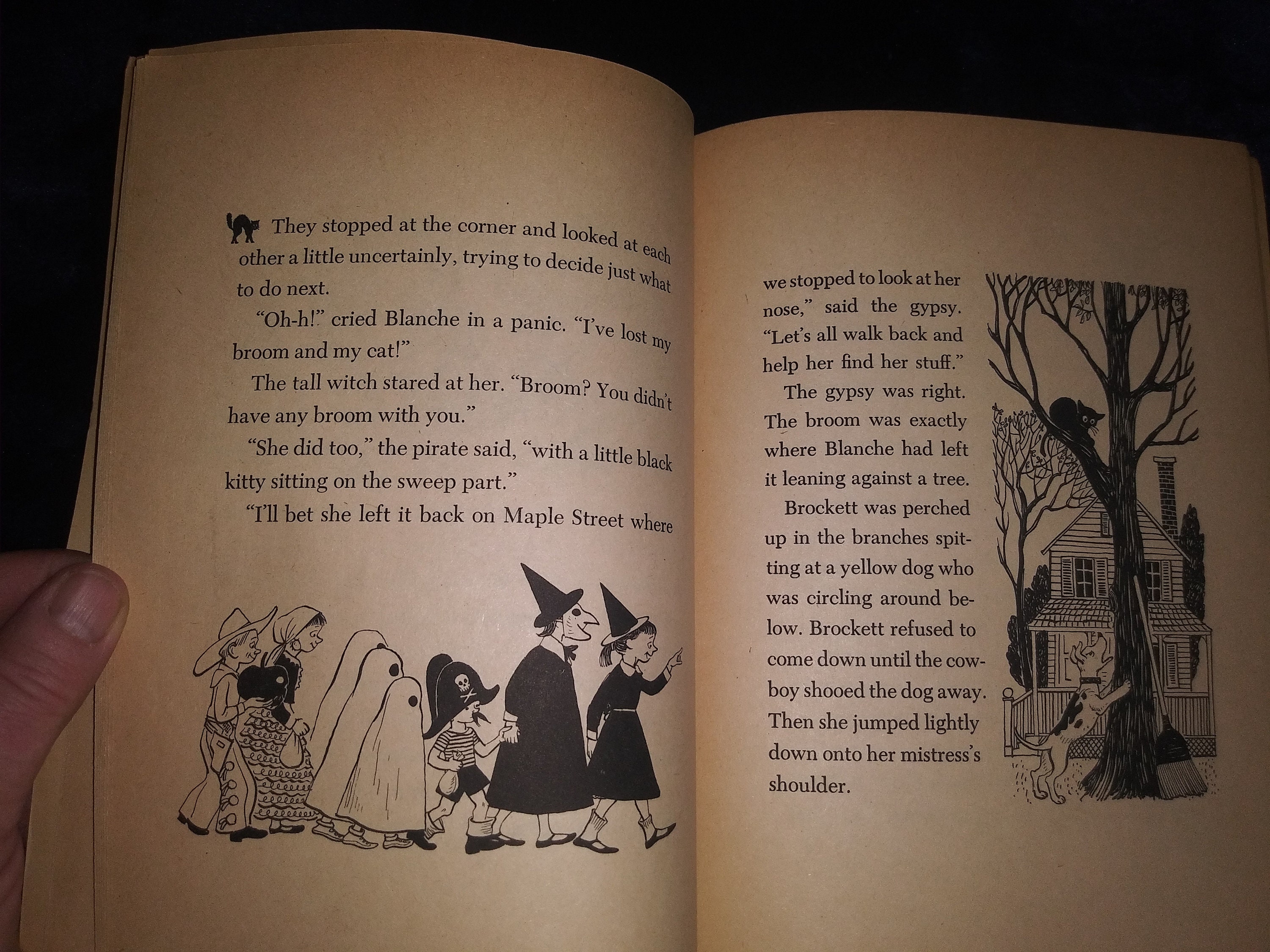 Vintage Children's Witch Book-the Blue-nosed Witch by - Etsy