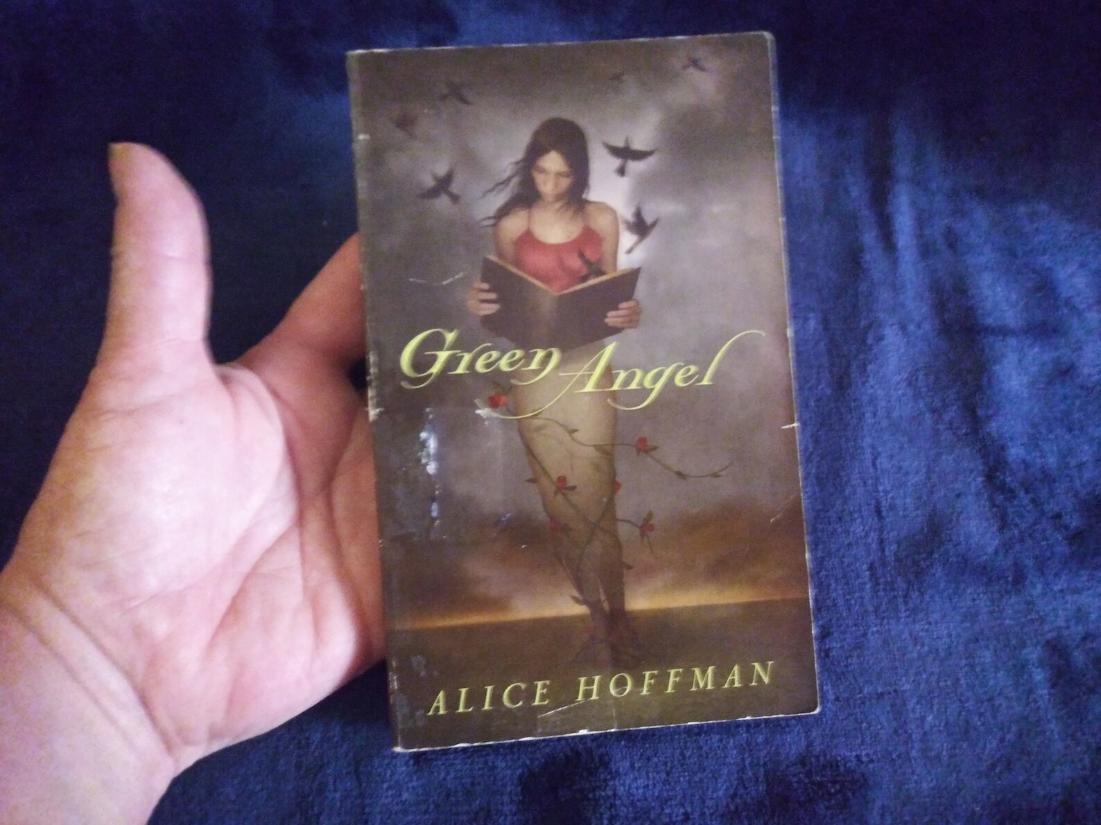 Green Angel by Alice Hoffman-ask to Bundle Books for Refund on - Etsy