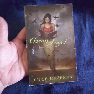 Green Angel by Alice Hoffman-ask to Bundle Books for Refund on Shipping ...