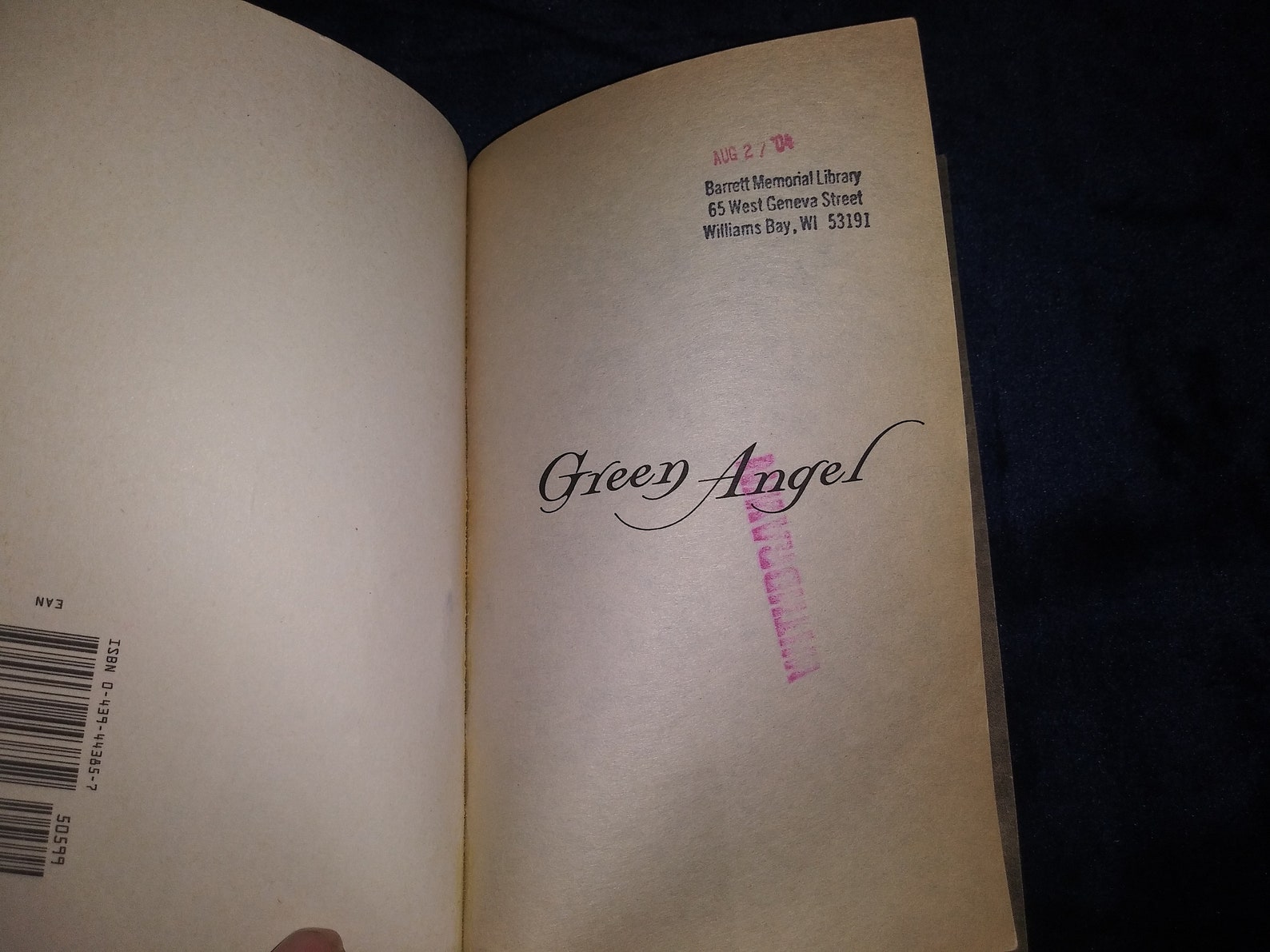 Green Angel by Alice Hoffman-ask to Bundle Books for Refund on - Etsy