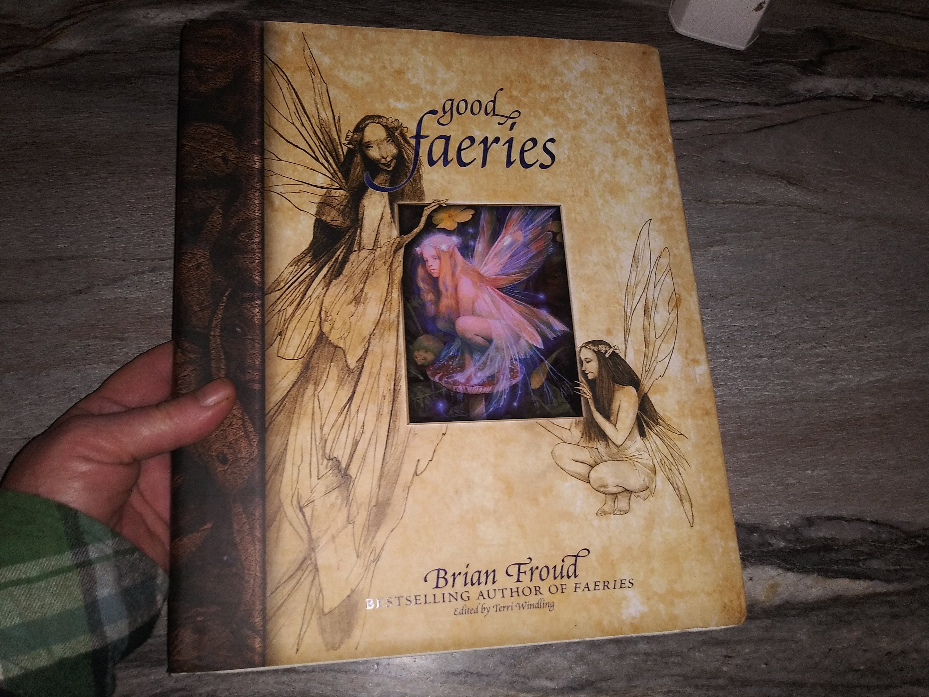 Brian Froud's-good Faeries Bad Faeries Hard Cover Book-ask | Etsy