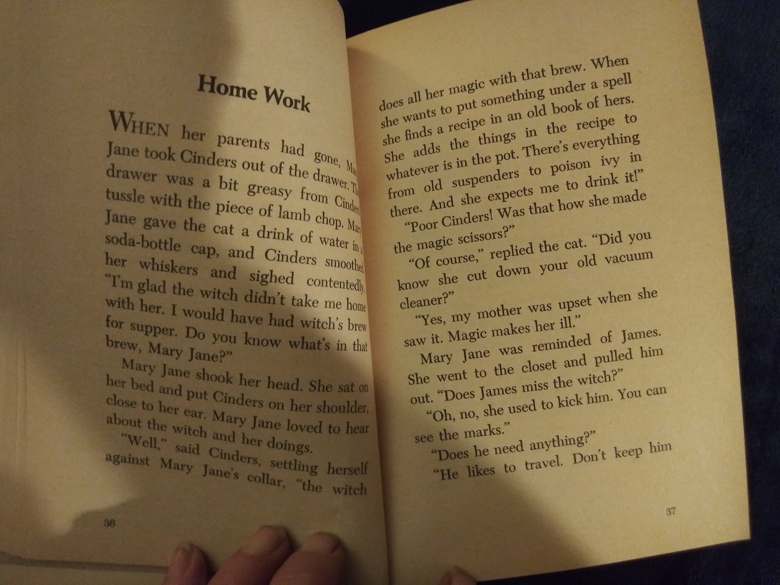 Vintage Rare-the Wednesday Witch by Ruth Chew - Etsy