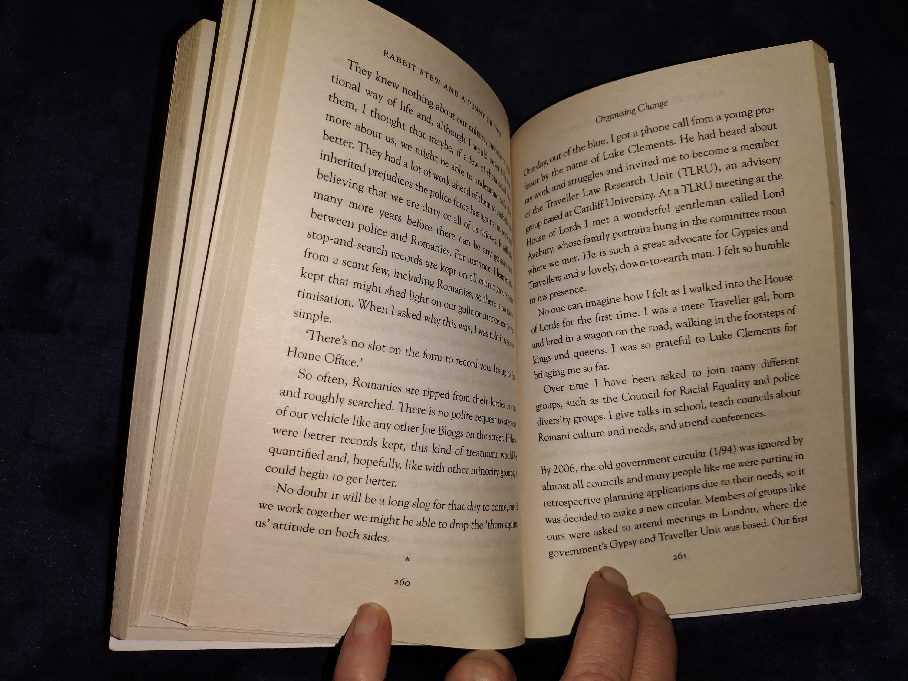 Gypsies-rabbit Stew and a Penny or Two-a Gypsy Family's - Etsy