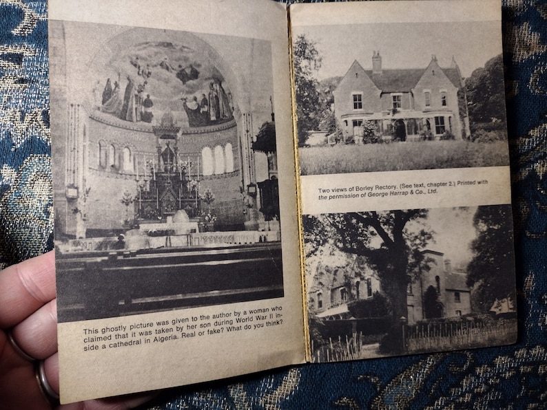 Rare-vintage-haunted House Handbook by D. Scott Rogo-ask to - Etsy