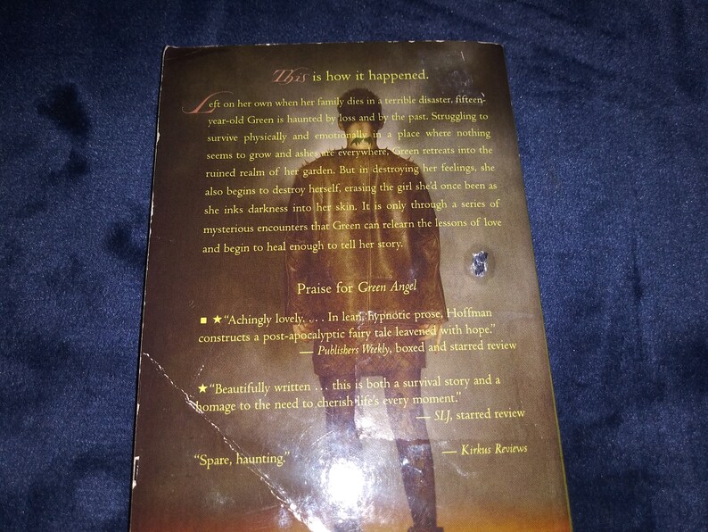 Green Angel by Alice Hoffman-ask to Bundle Books for Refund on - Etsy