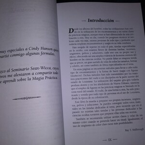 Hechizos Y Conjuros: Recetas Para El Amor, La Prosperidad Y La ...