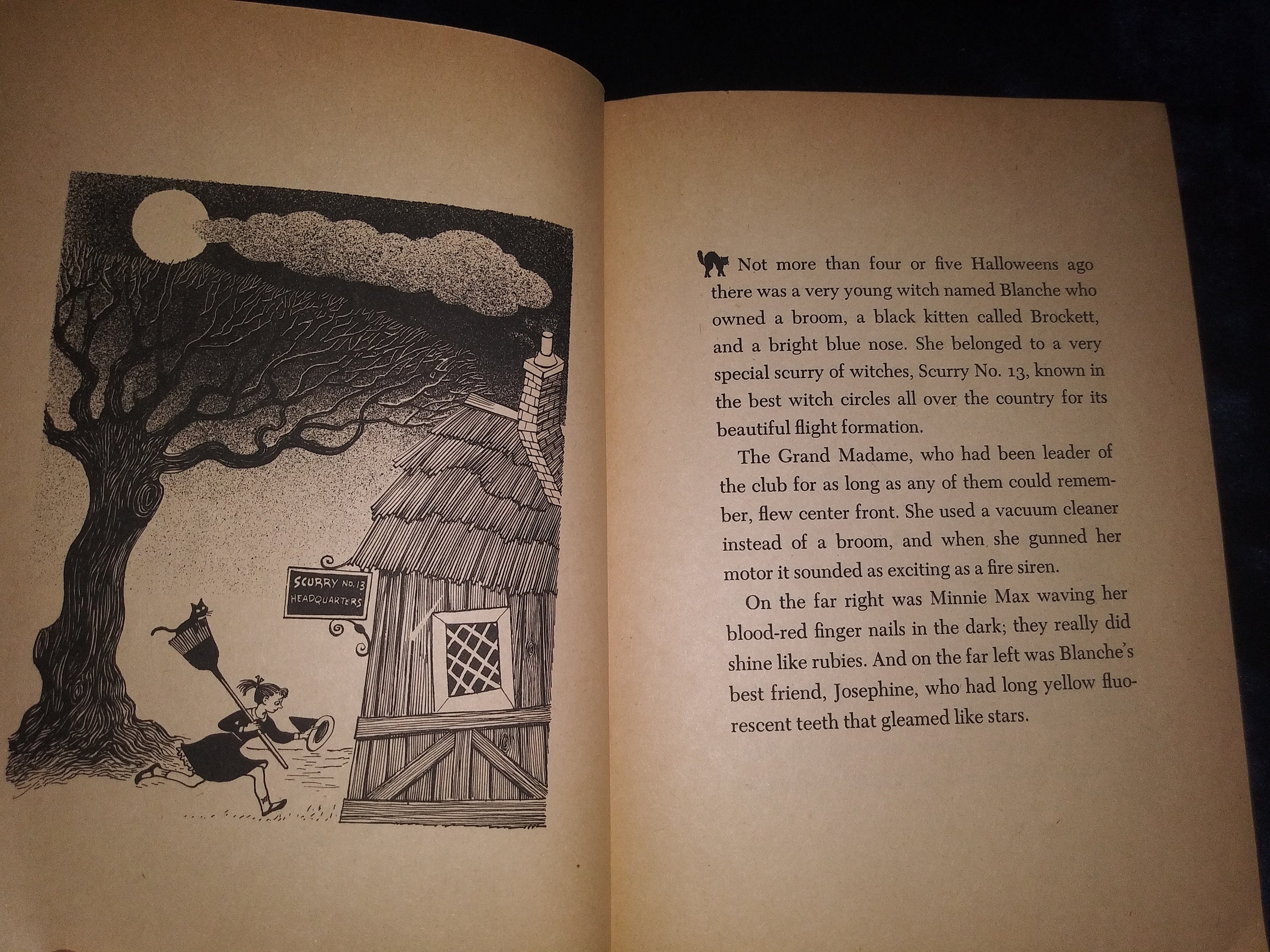 Vintage Children's Witch Book-the Blue-nosed Witch by - Etsy