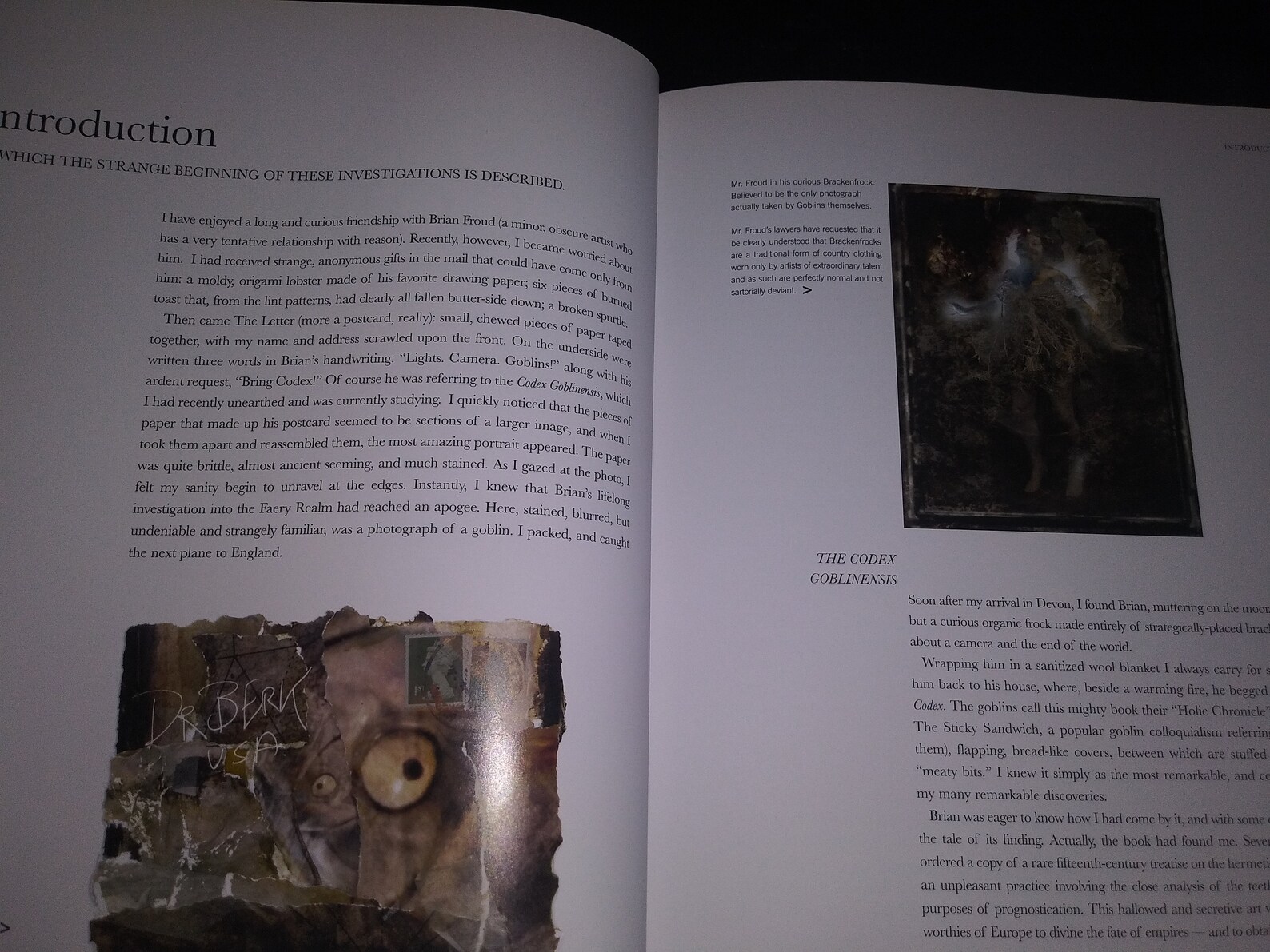 Goblins by Brian Froud-awesome-fun Book-ask to Bundle Books | Etsy
