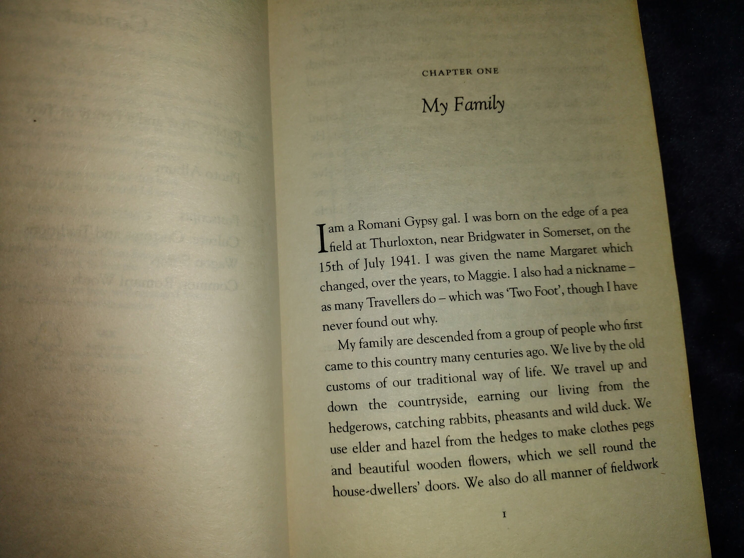 Gypsies-rabbit Stew and a Penny or Two-a Gypsy Family's - Etsy