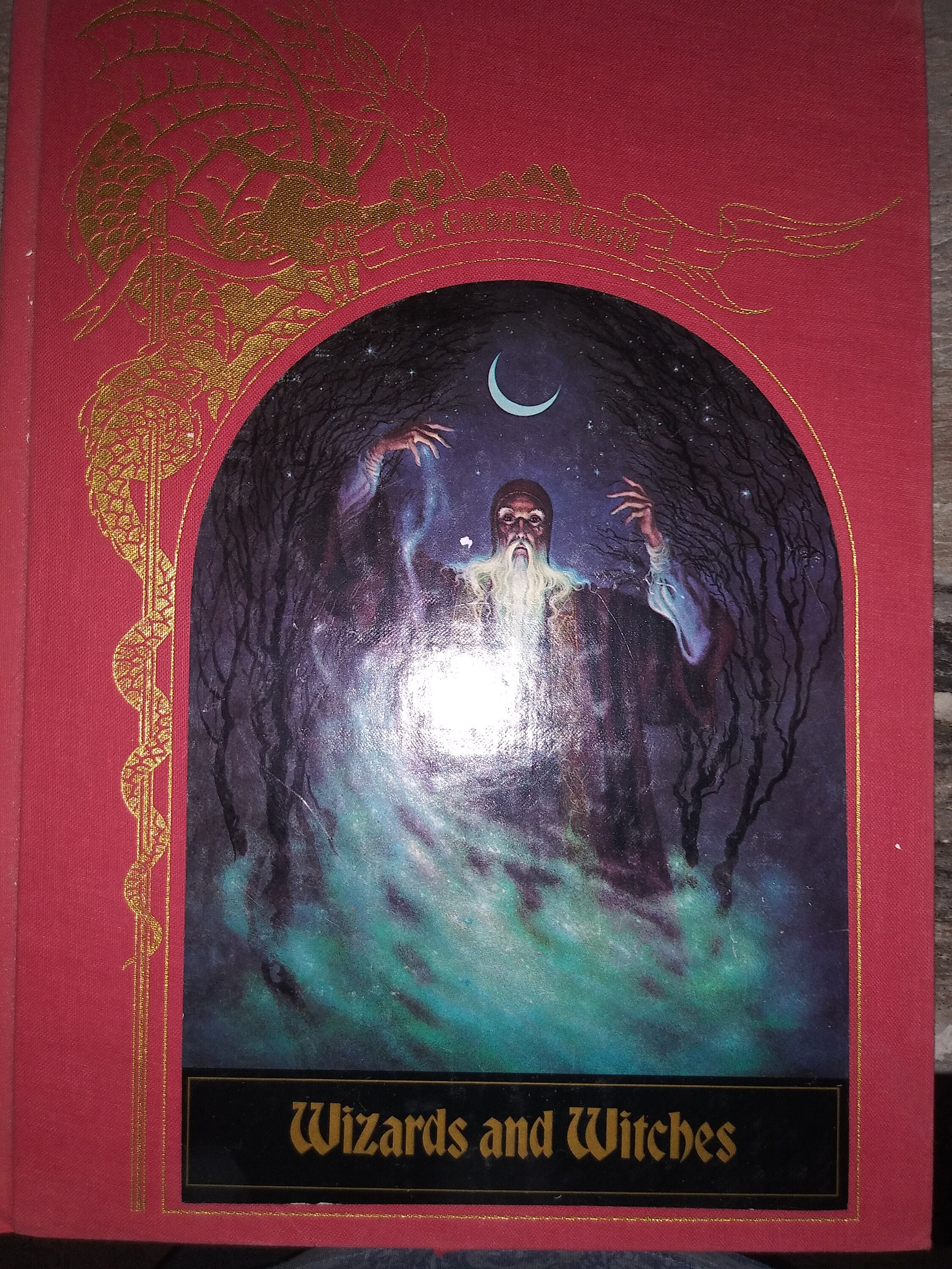 The Enchanted World Books-vintage-large Gorgeous Cloth - Etsy