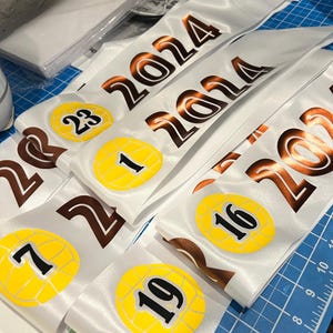 Senior Sash | Custom Sash | Pageant Sash | Sports Teams | School Sash ...