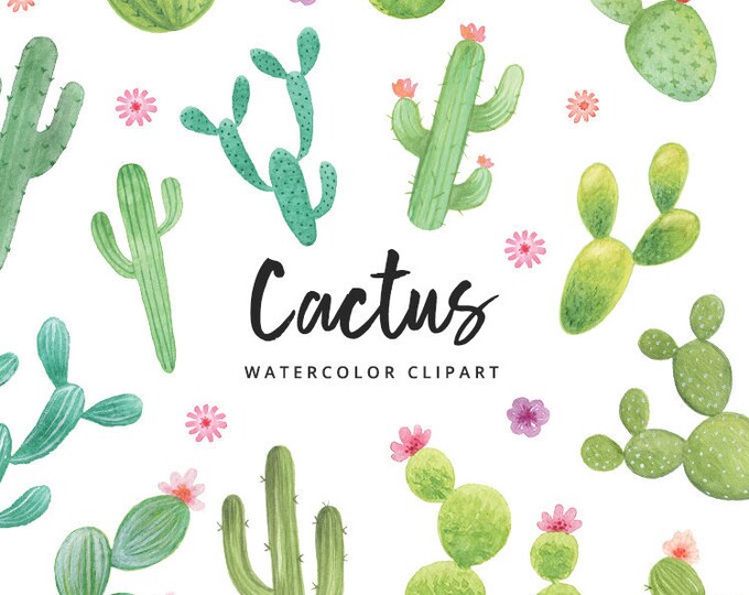 Watercolor Cactus Clipart Succulents Downloadable Digital - Etsy