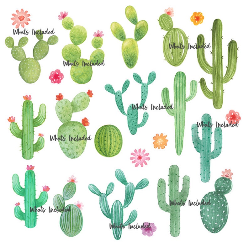 Watercolor Cactus Clipart, Succulents, Downloadable Digital Clip Art ...