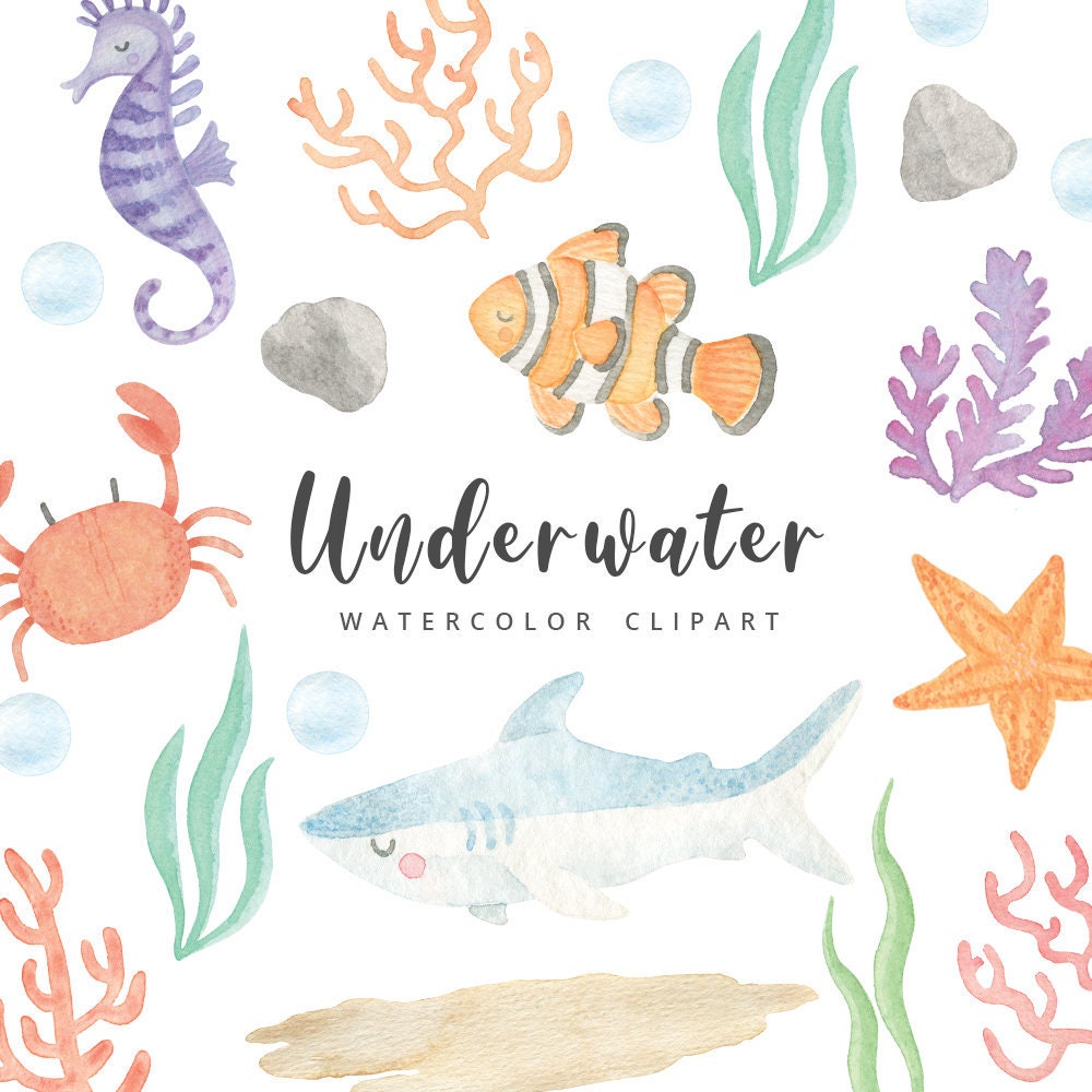 Under the Sea Watercolour Clipart, Ocean Animals Watercolor Clip Art ...