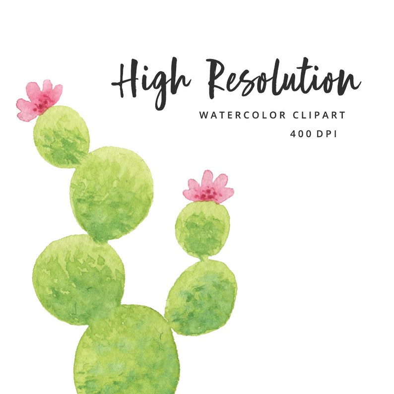 Watercolor Cactus Clipart, Succulents, Downloadable Digital Clip Art ...