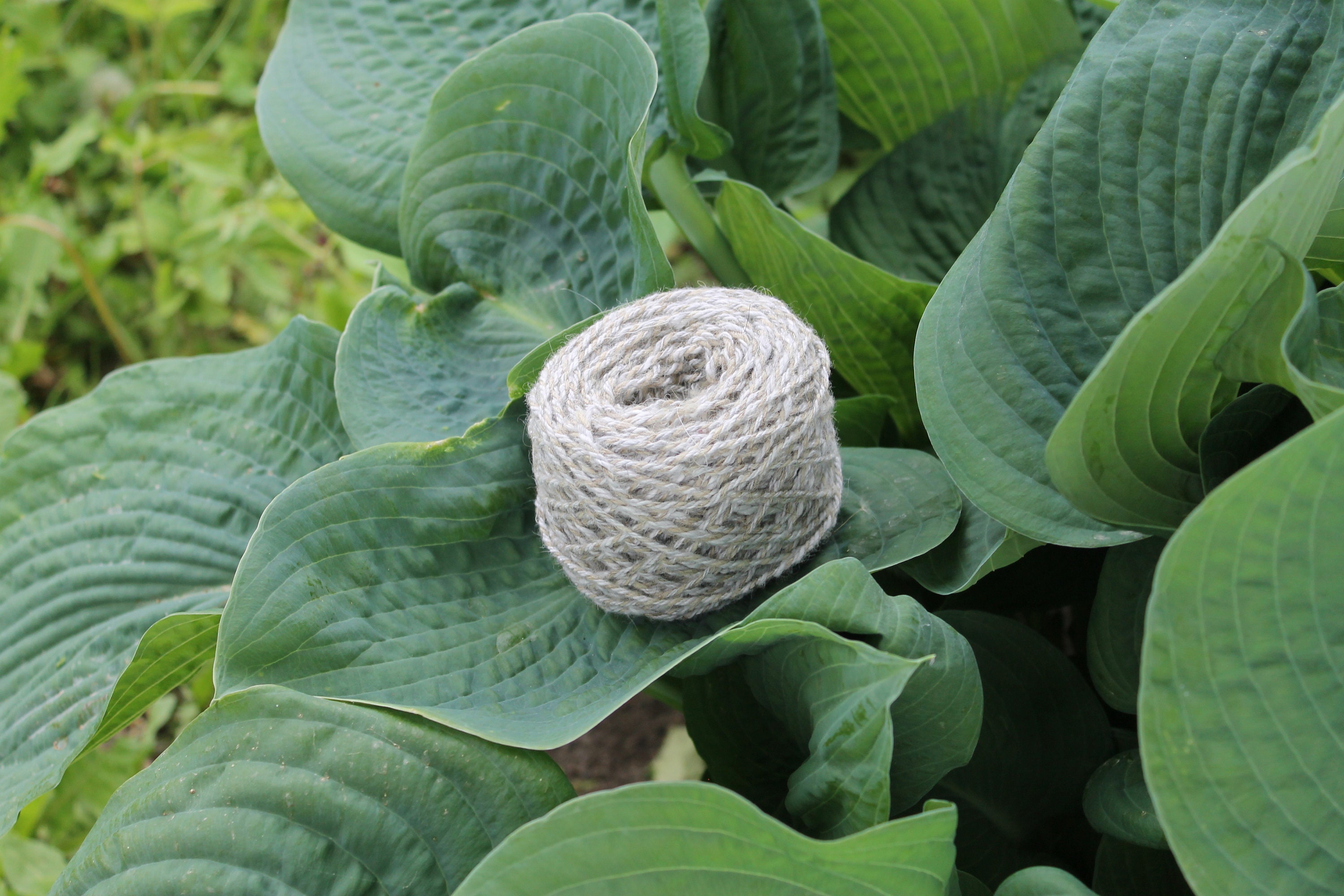 Angora Rabbit Yarn 66% Combined With Sheep Wool, 3ply Yarn, Light Grey ...