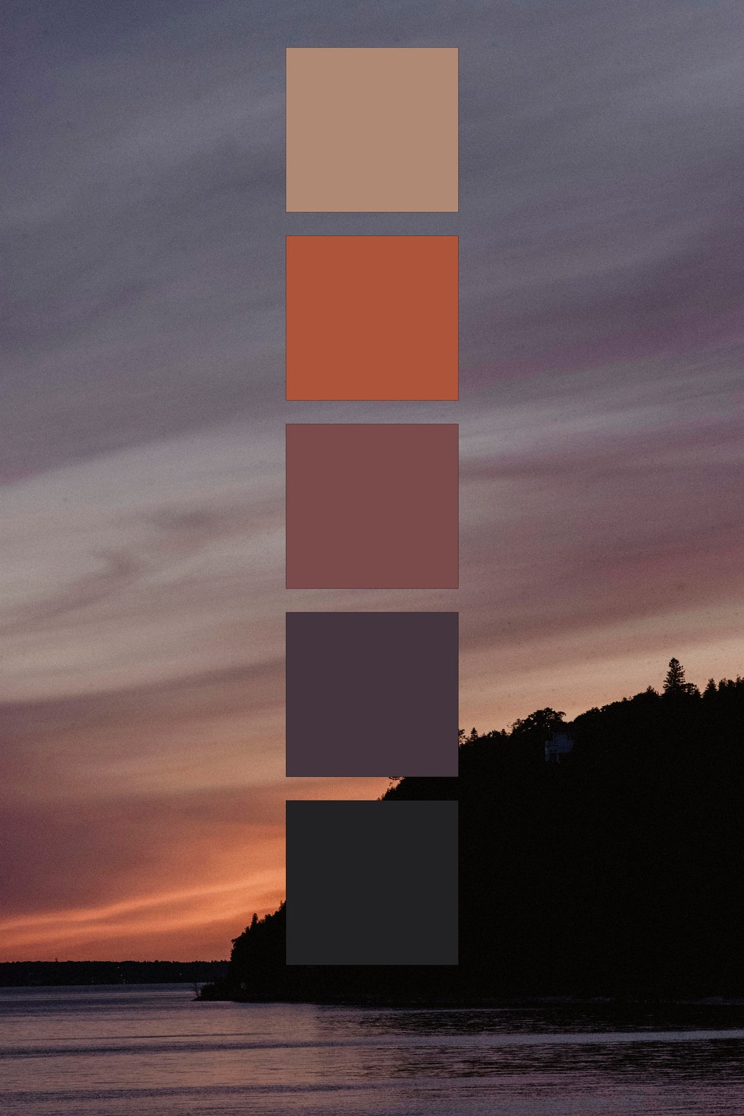Sunset Color Palette|brand Color Palette, Hex Codes, Branding Board ...
