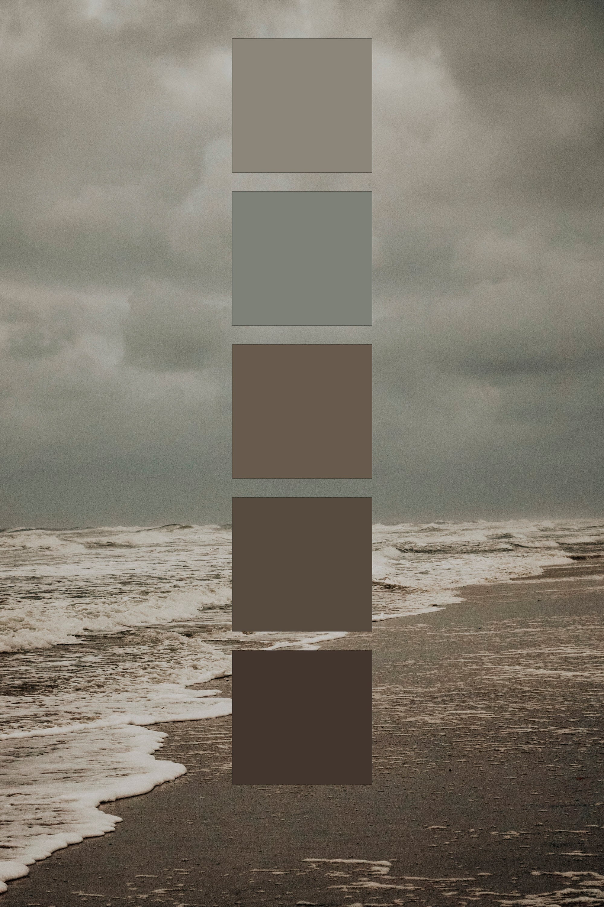 Cloudy Beach Color Palette: Brand Color Scheme With Hex Codes - Etsy