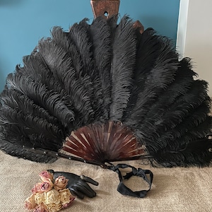 Ostrich Fan - Etsy