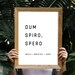 Dum Spirospero Digital Print While I Breathe I Hope - Etsy