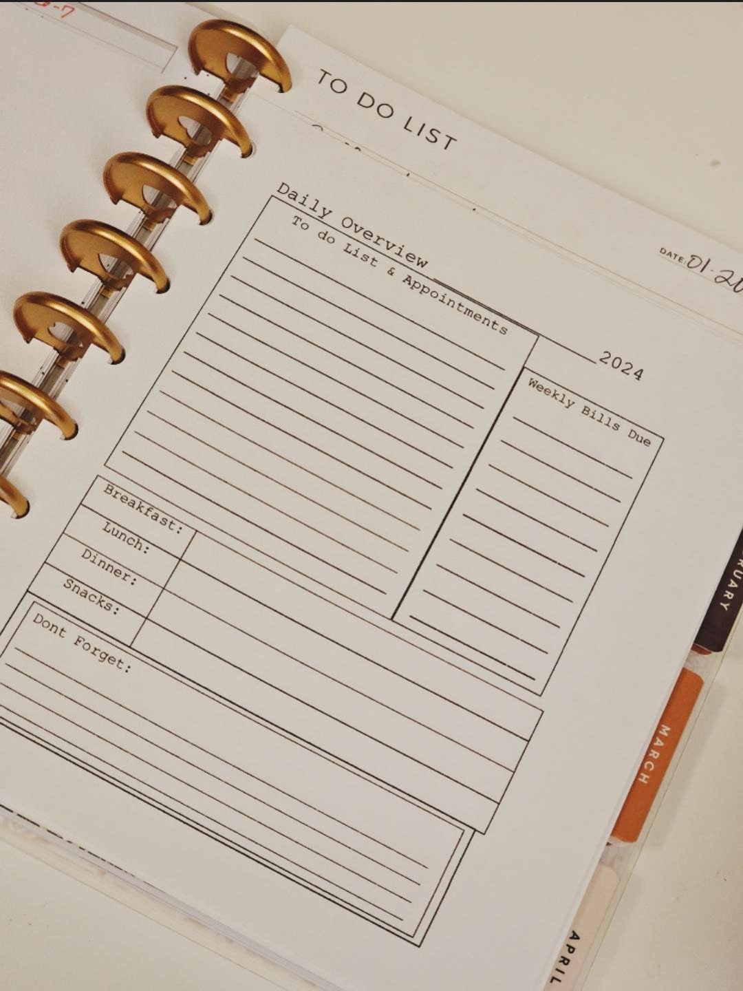 Daily Overview for Planner - Etsy