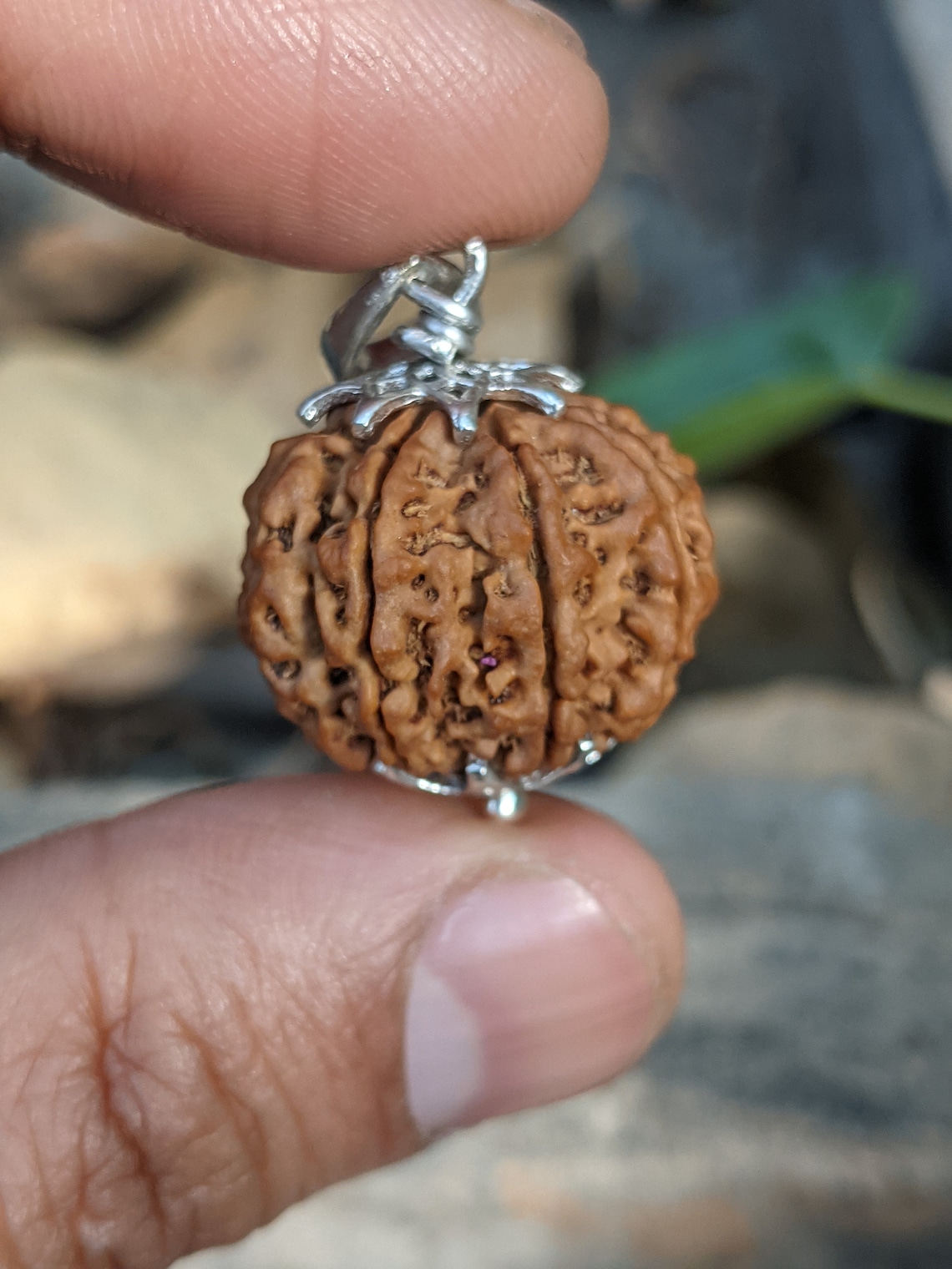 3, 4, 5, 6, 7 Mukhi Rudraksha Silver Pendant | GTI Certified Rudraksha ...