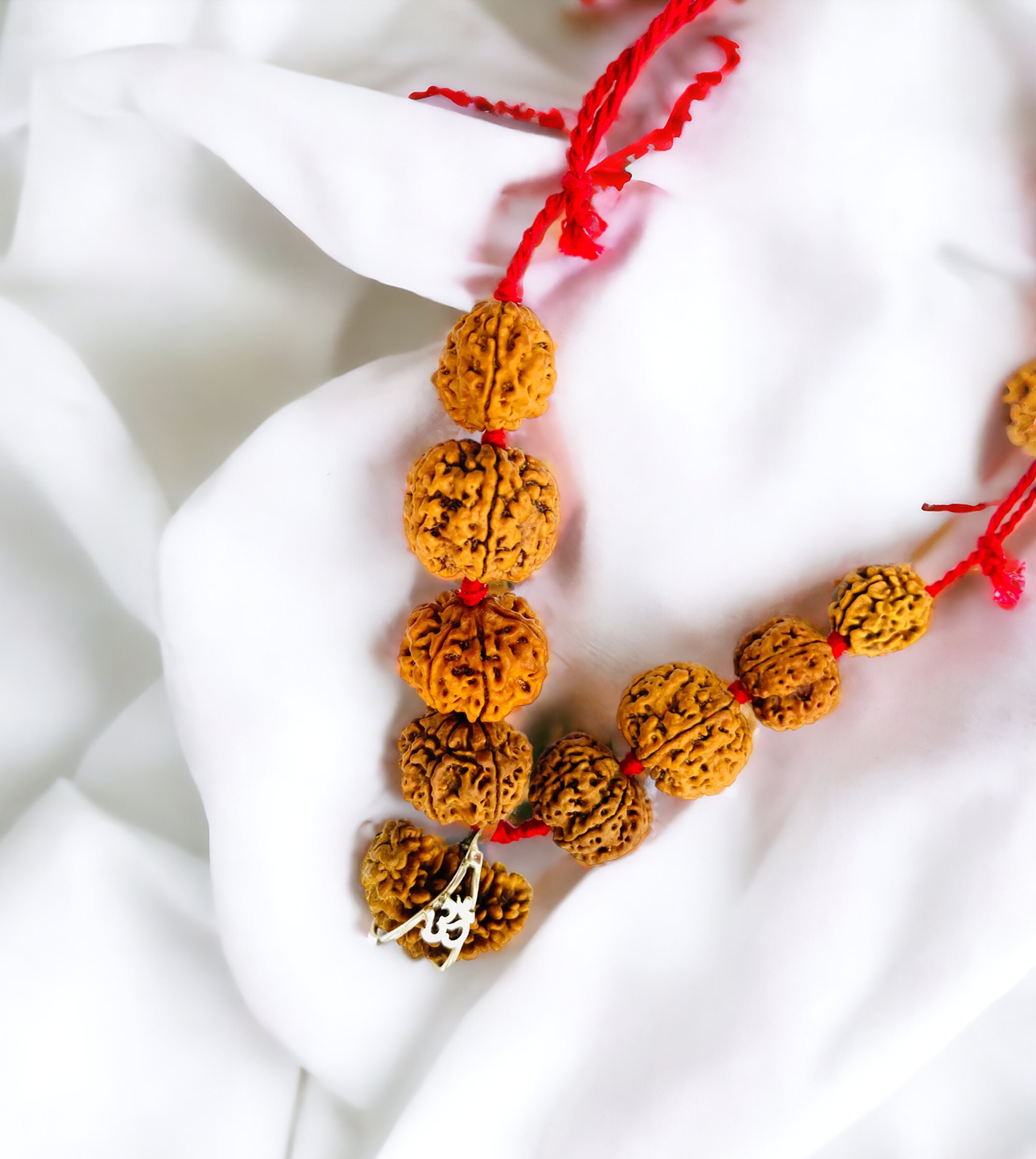 1, 2, 3, 4, 5, 6, 7, 8 & 9 Mukhi Rudraksha Silver Necklace | Nav Graha ...