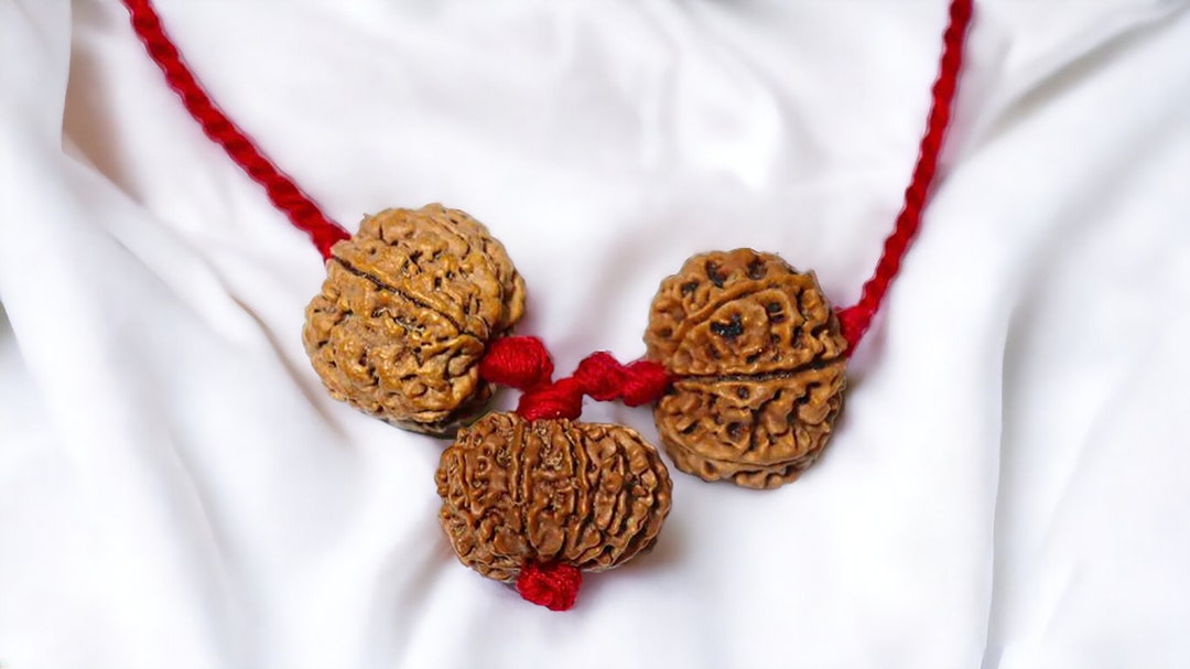 Buy 6, 7 & 13 Mukhi Rudraksha Silver Necklace | Sukh Samriddhi Kawach ...