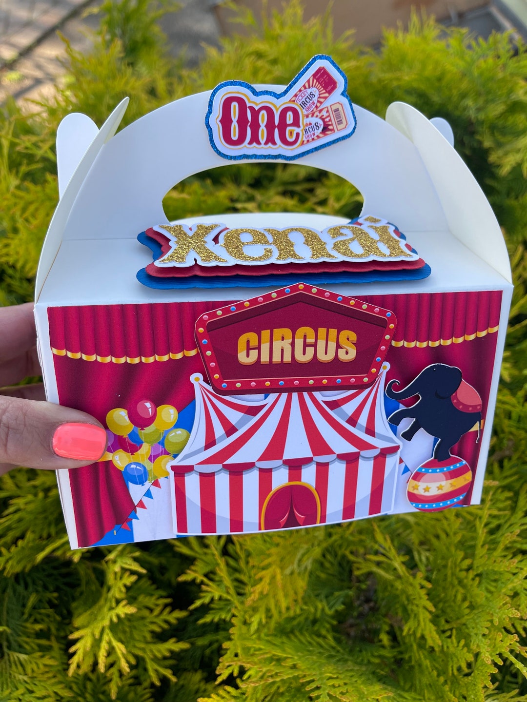 Circus Party Box, Circus Goody Bag, Circus Party Decorations, Carnival ...