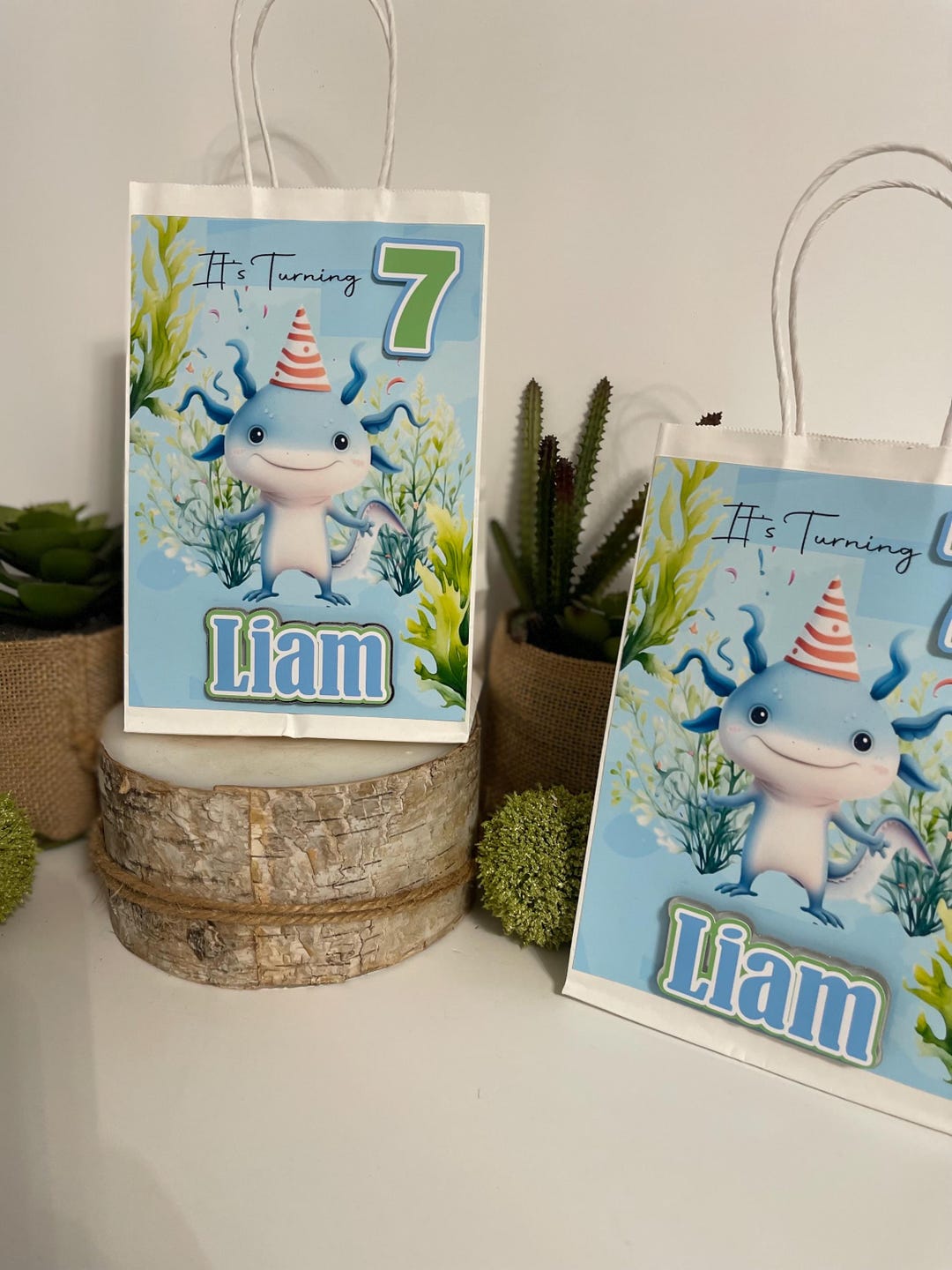 Axolotl Party Favor Box, Axolotl Birthday, Axolotl Birthday Decoration ...