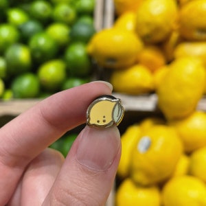 Tiny Eats - Whole Fruit, Apple Pin, Orange Pin, Lemon Pin, Lychee Pin ...